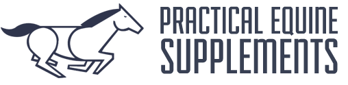 Performance Pak 100 | Practical Equine Supplements